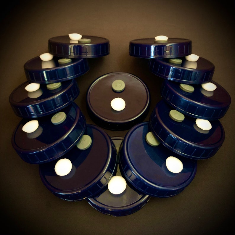 12 Grain Spawn Mason Jar Lids Wide Mouth for Mycology Value - Etsy Ireland