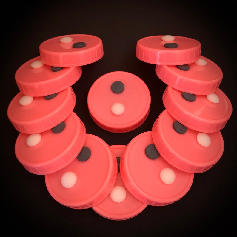 12 Grain Spawn Mason Jar Lids Wide Mouth for Mycology Value - Etsy Ireland