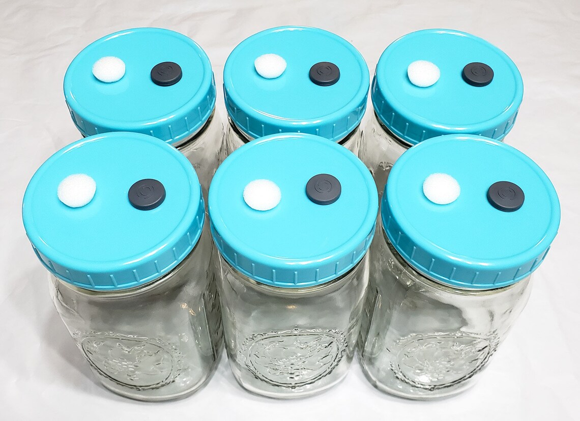 6 Grain Spawn Mason Jar Lids Wide Mouth for Mycology Value Cap | Etsy