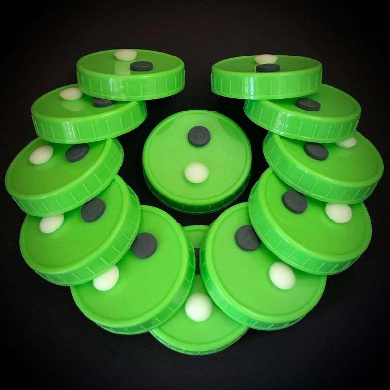 12 Grain Spawn Mason Jar Lids Wide Mouth for Mycology Value - Etsy Ireland