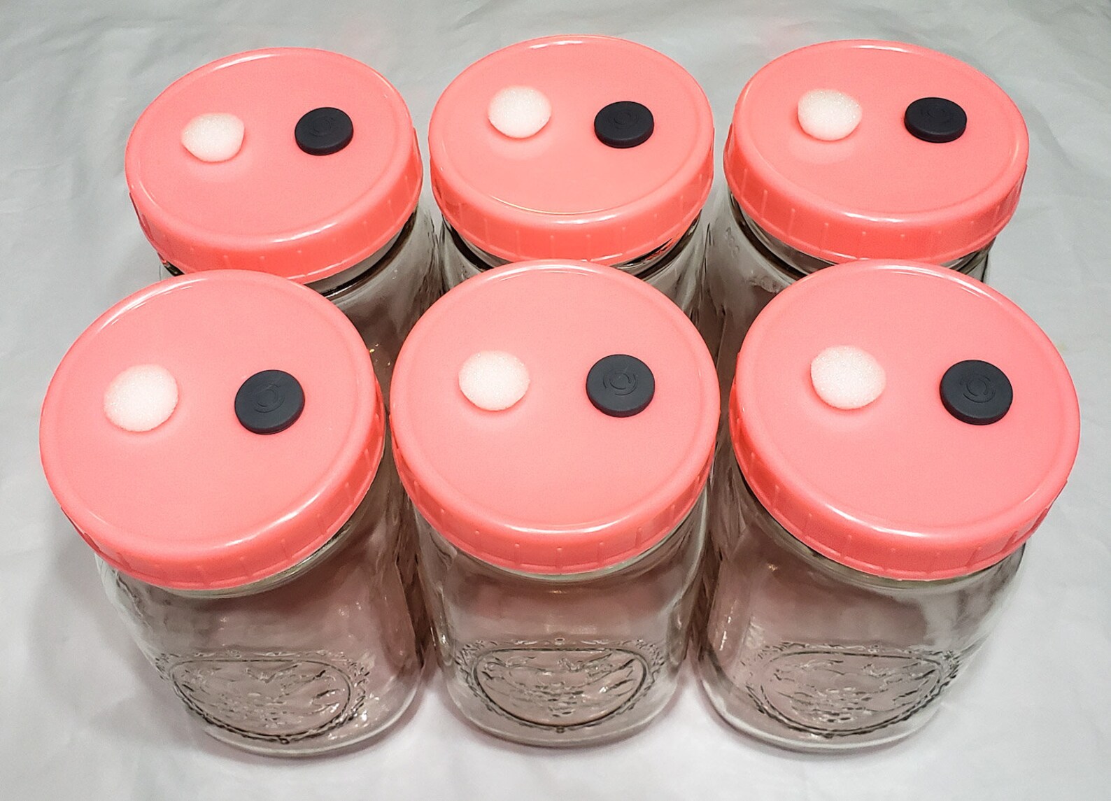 6 Grain Spawn Mason Jar Lids Wide Mouth for Mycology Value Cap | Etsy