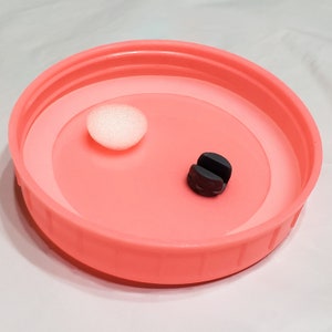 Rainbow Set Grain Spawn Mason Jar Lids Wide Mouth for Mycology Value ...