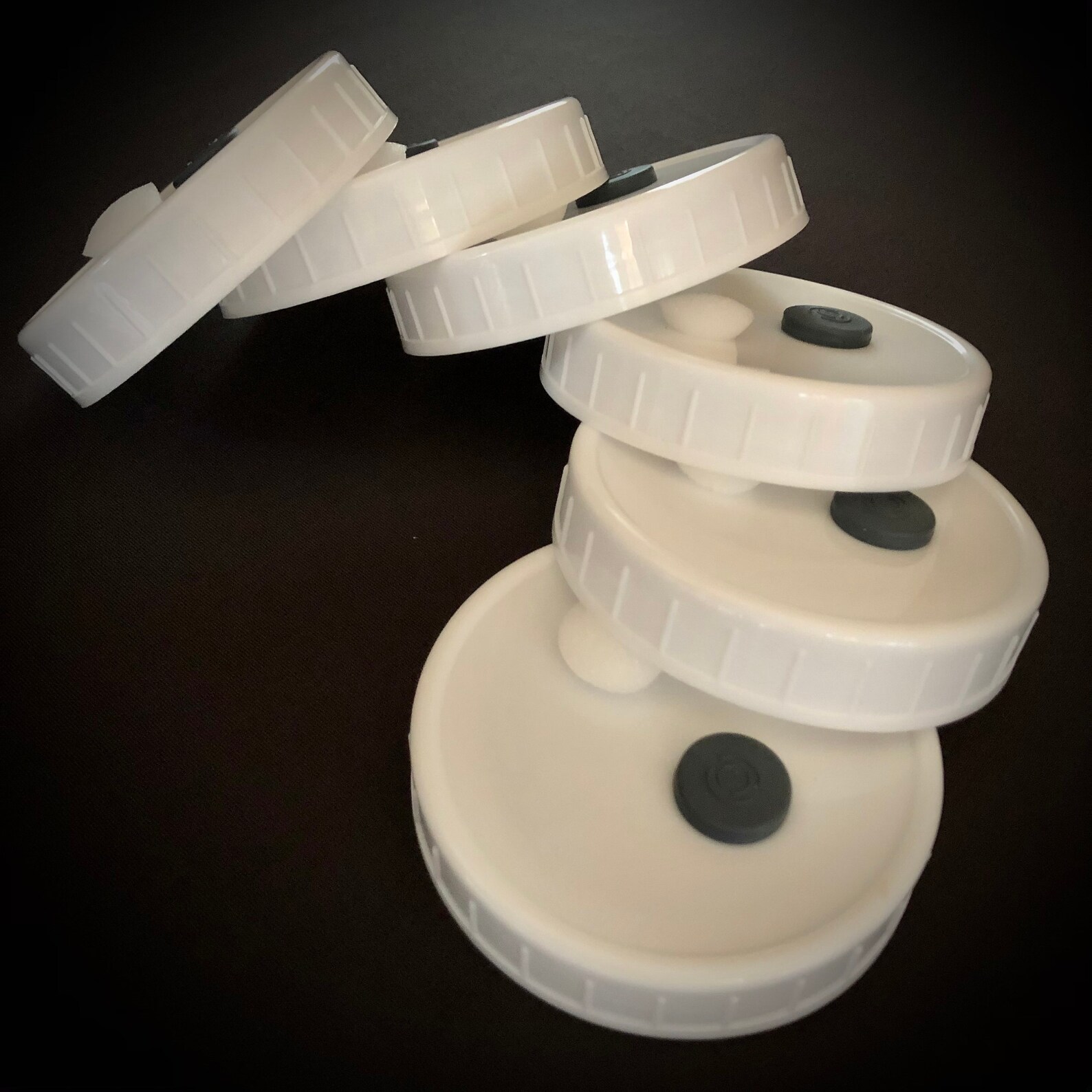 6 Grain Spawn Mason Jar Lids Wide Mouth for Mycology Value Cap | Etsy