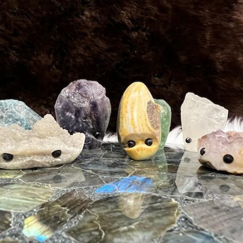 Pet Rock - Etsy