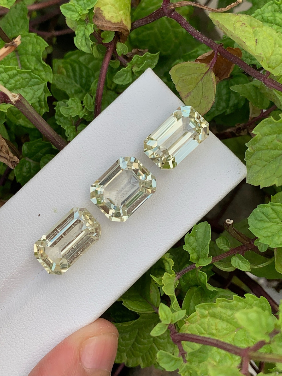 Natural Triphane Var Kunzite Loose Gemstones Jewelry Set Golden Color ...