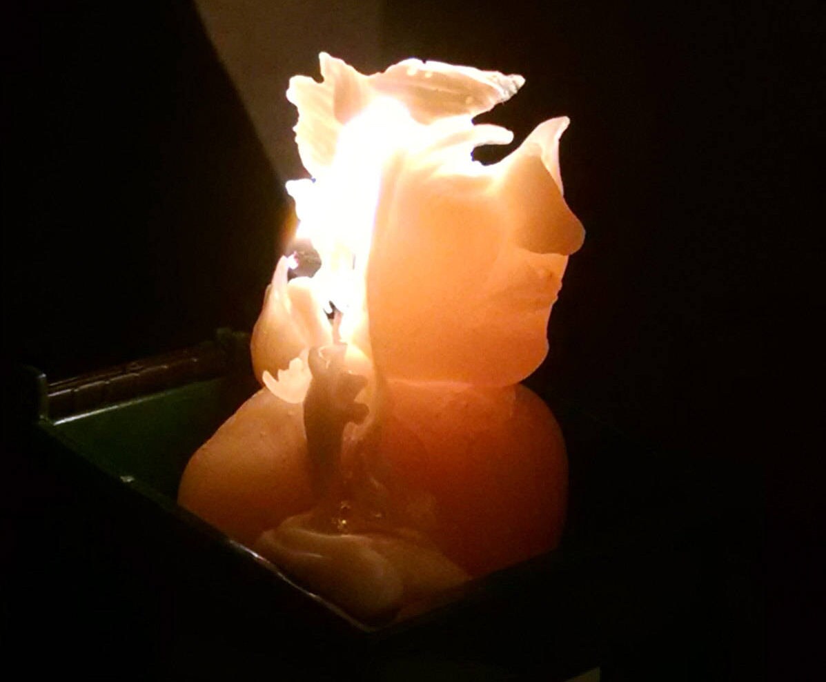 Trumpster Fire (trump Candle With Miniature Dumpster) - Etsy