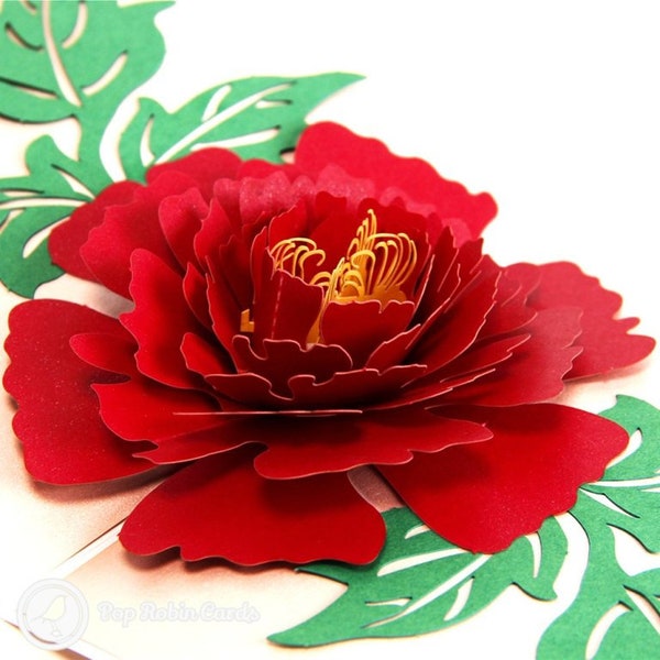 3d Peony Card - Etsy