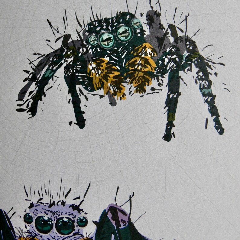 Spider Happy Birthday Greeting Card - Etsy