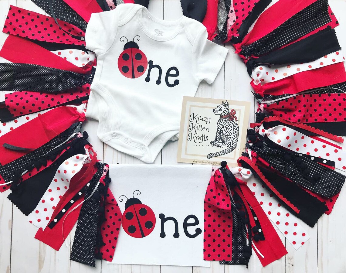 Ladybug Themed First Birthday Bodysuit/customizable - Etsy