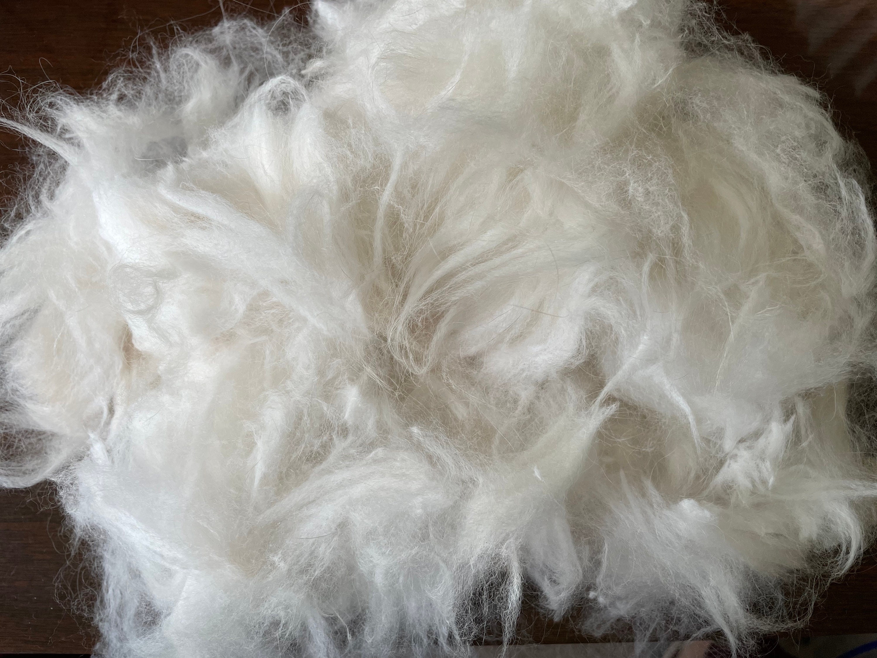 Angora Fiber, German Angora - Etsy