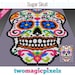 Sugar Skull Graph for Crochet c2c Mini C2c Sc Hdc Dc | Etsy