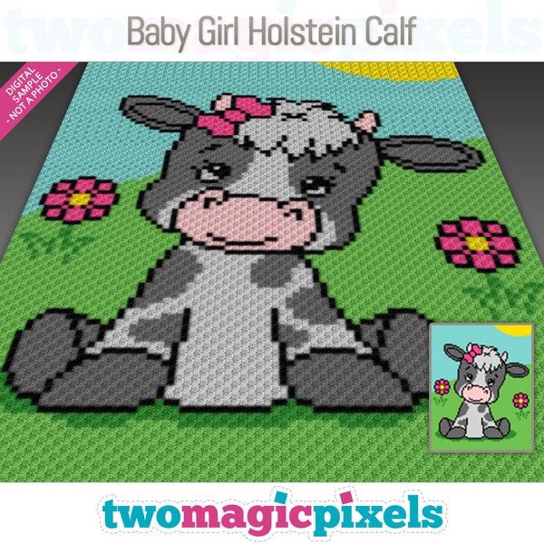 C2c Baby Blanket Pattern - Etsy