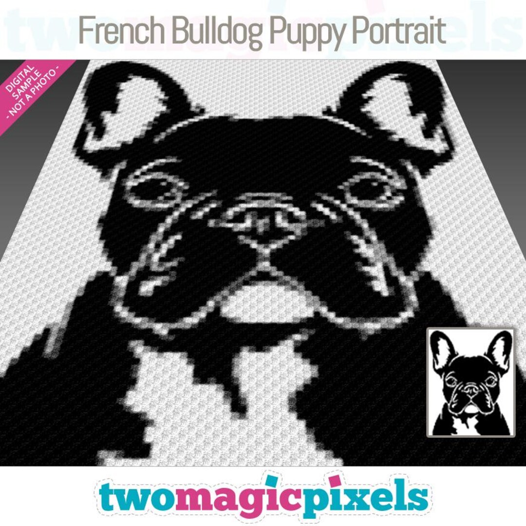 French Bulldog Puppy Portrait Crochet Graph (c2c, Mini C2c, Sc, Hdc, Dc ...