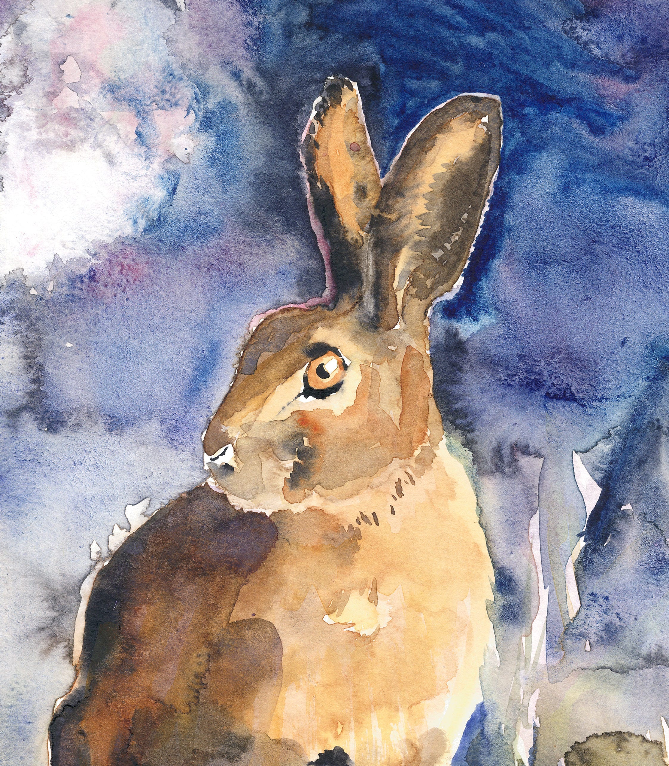 Hare in Moonlight - Etsy