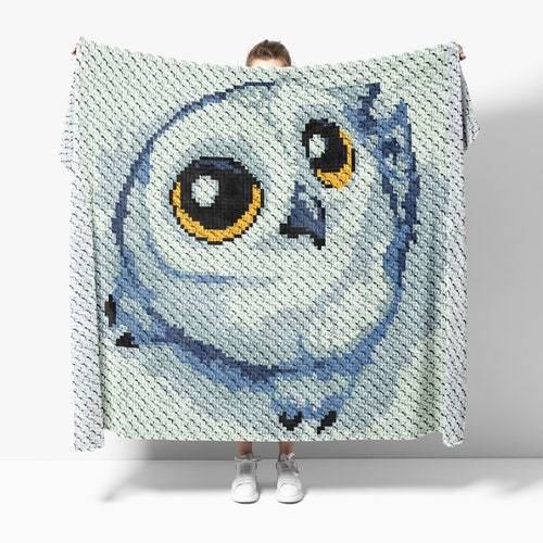 C2C Snow Owl Crochet Pattern / C2C Bird / Corner to Corner / - Etsy