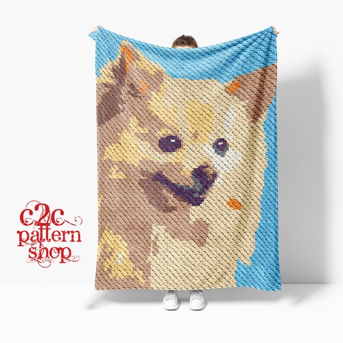 C2C Pomeranian Dog Crochet Pattern With Written Instructions - Etsy