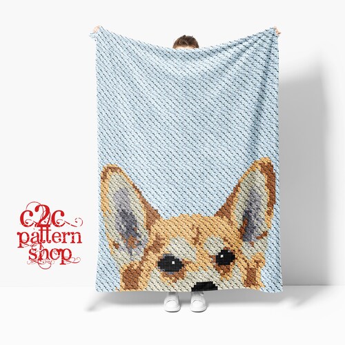 MASH C2C Crochet Graph and Written Pattern - Etsy