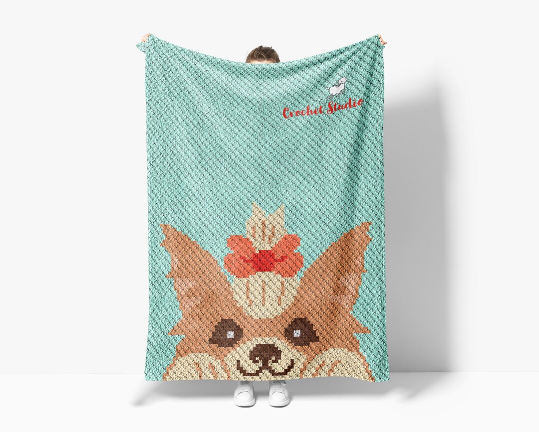 C2C Yorkie Crochet Pattern With Written/color Instructions, Full Graph ...