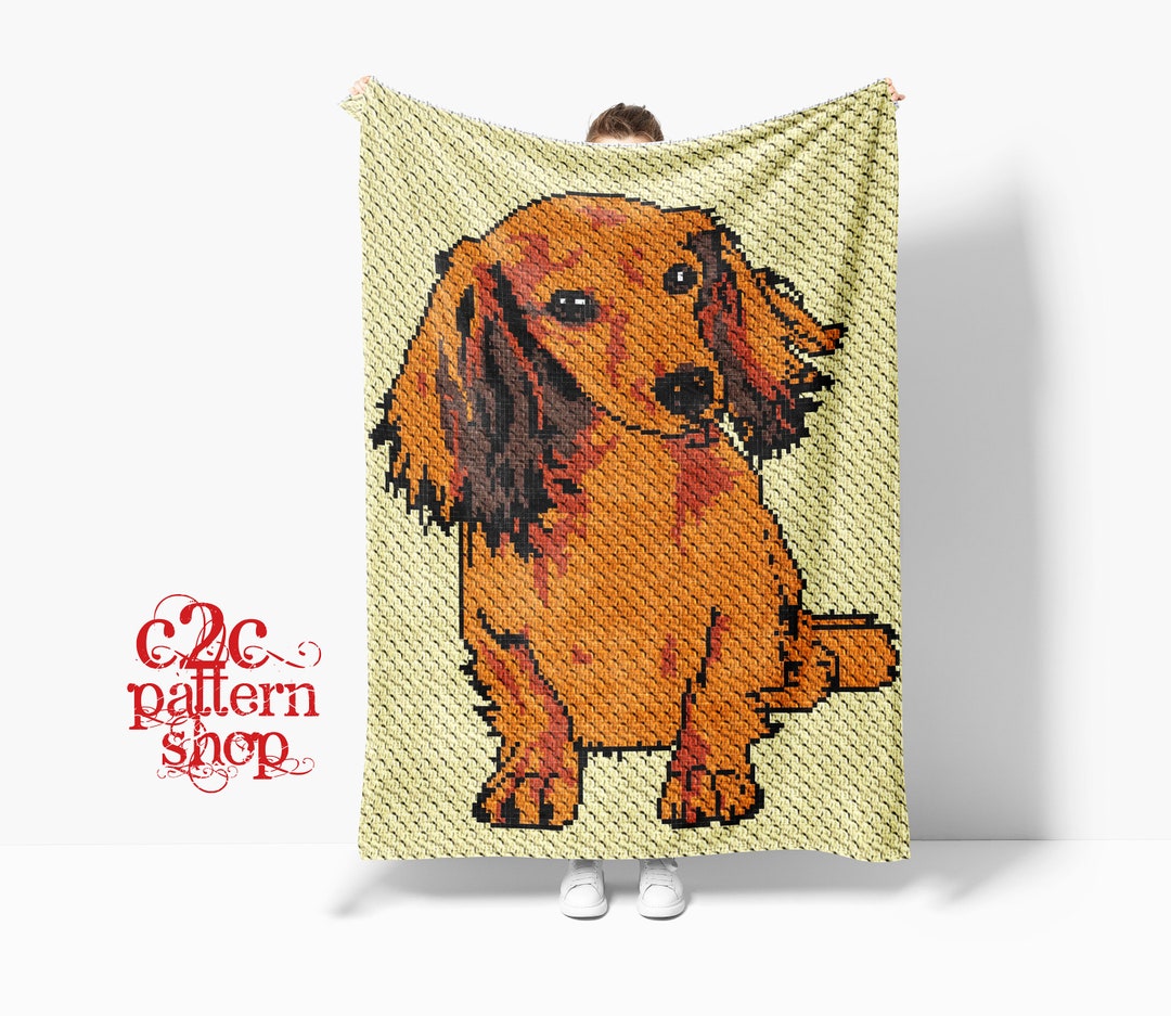 MINI C2C Long Haired Dachshund Dog Crochet Pattern With Written ...