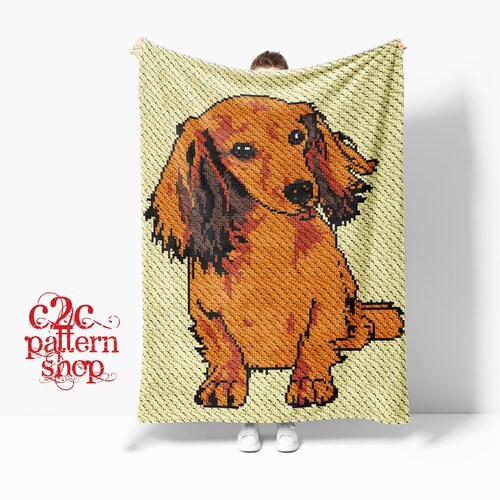 C2C Corgi Dog Crochet Pattern With Written Instructions Full - Etsy