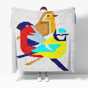 C2C Colorful Birds Crochet Pattern / C2C Graphgan Patterns / - Etsy