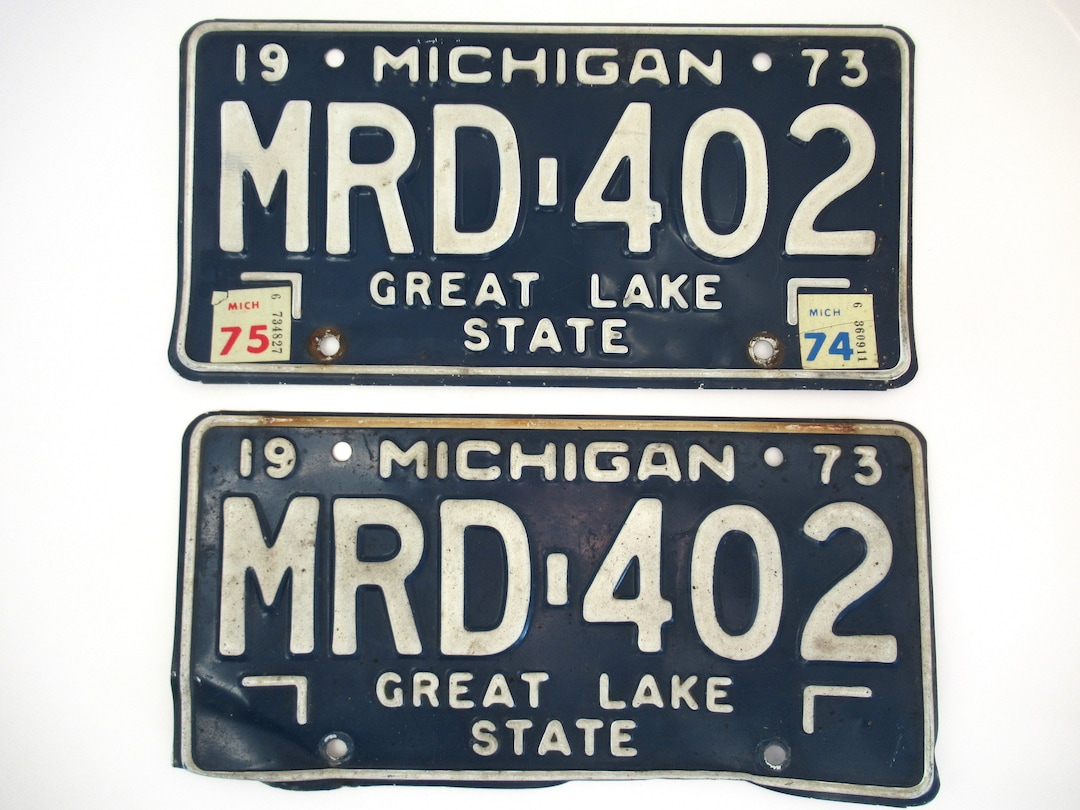 1973 Michigan License Plates, MRD-402, Blue and White, Great Lake State ...