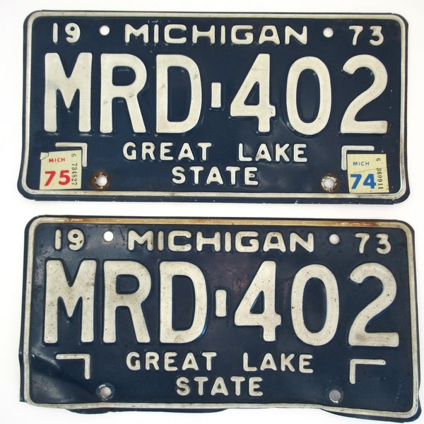 Michigan Great Lakes License Plates - Etsy