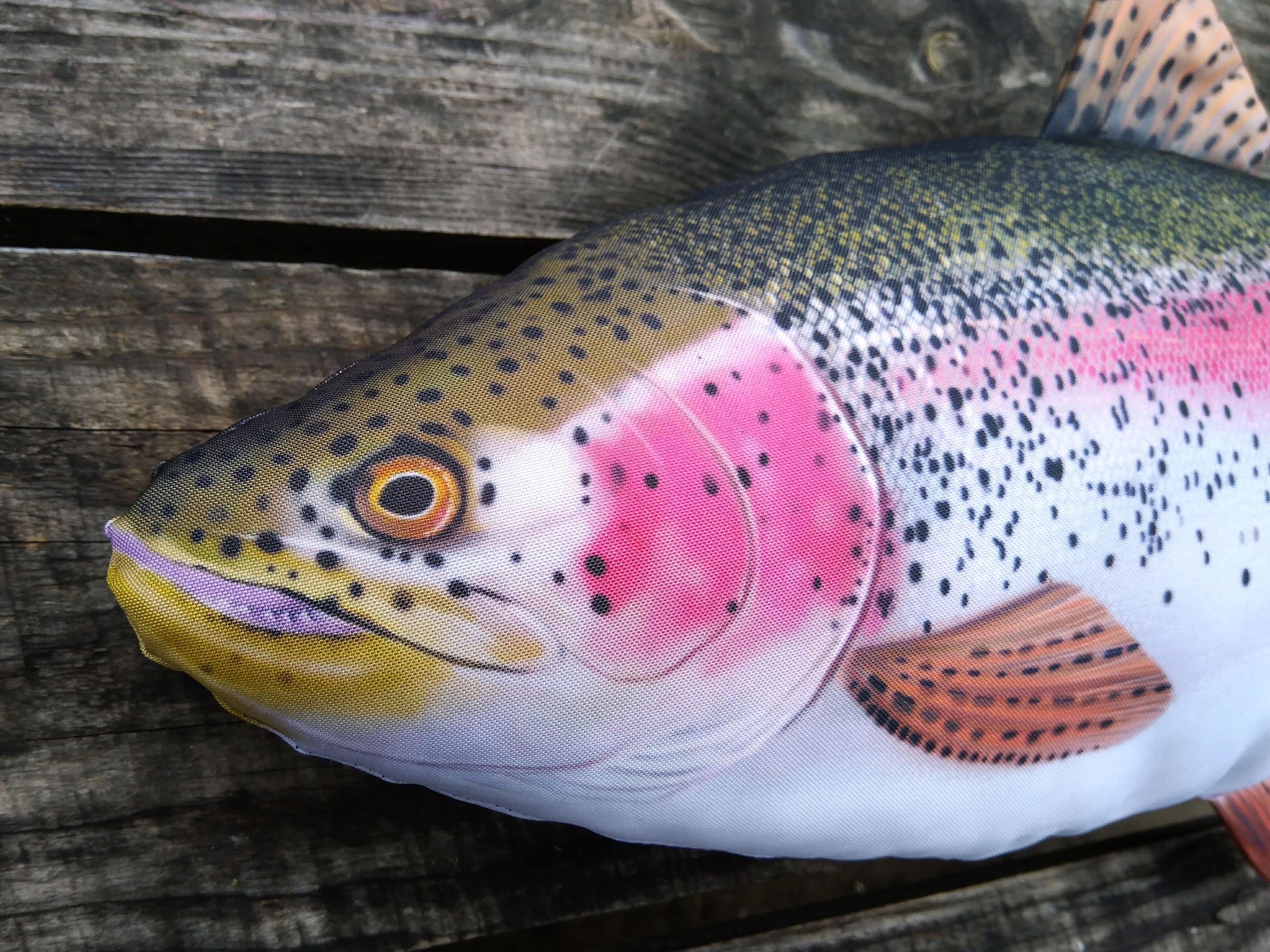 Fish Pillow SALMON TROUT Neck Pillow Animal Pillow Relax Pillow ...
