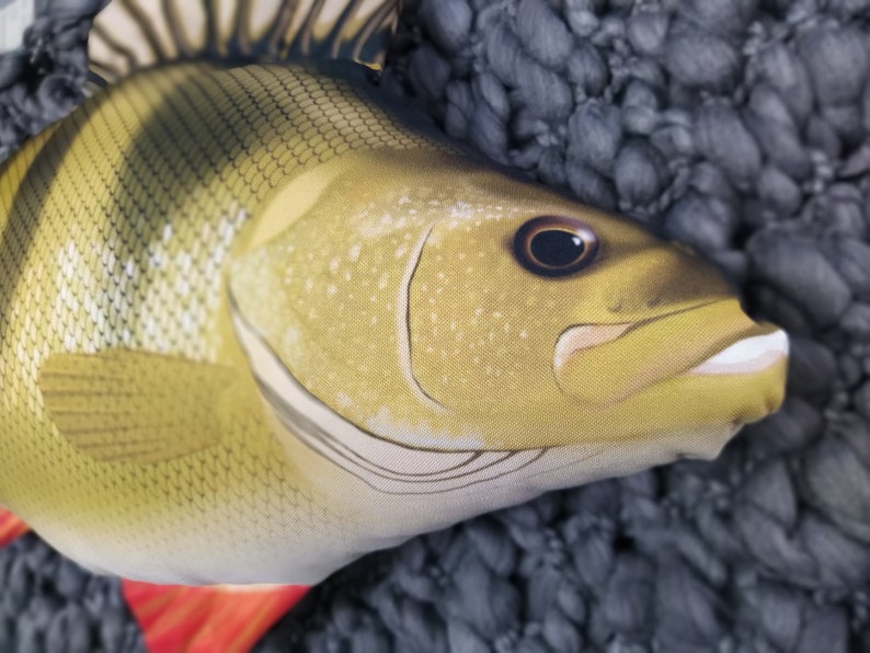 Fish Pillow Perch (perca Fluviatilis) Neck Pillow Animal Pillow ...