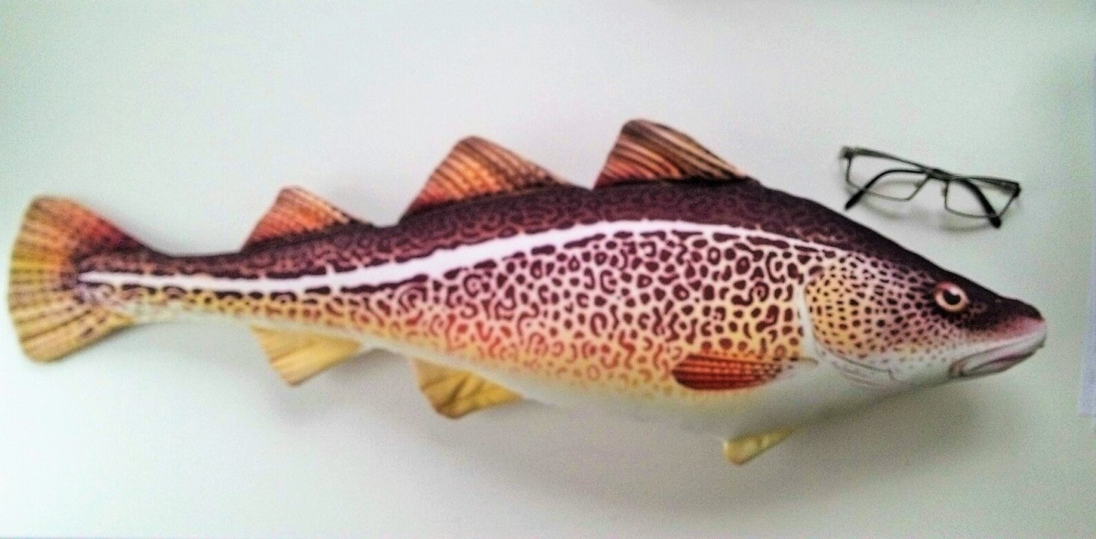 Fish Pillow ATLANTIC COD (gadus Morhua) Neck Pillow Animal Pillow Relax ...