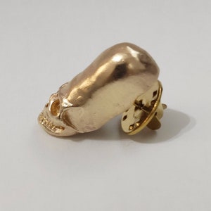 Ancient Skull Aliens Ancestral Nazca Pin Natural Brass and Gold Plating ...