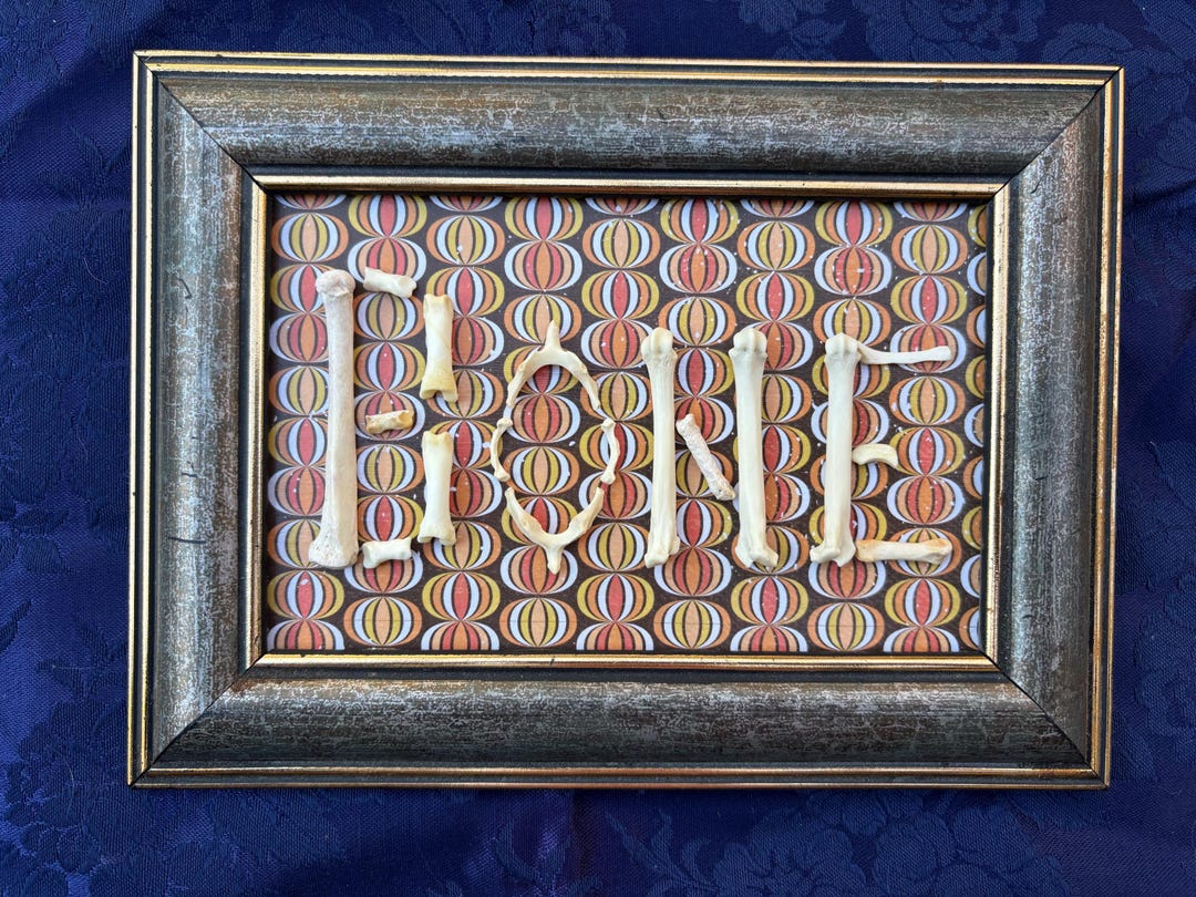 REAL Bone Sign, Skeleton Frame, Home Decor, Creepy Home Decor, Spooky ...