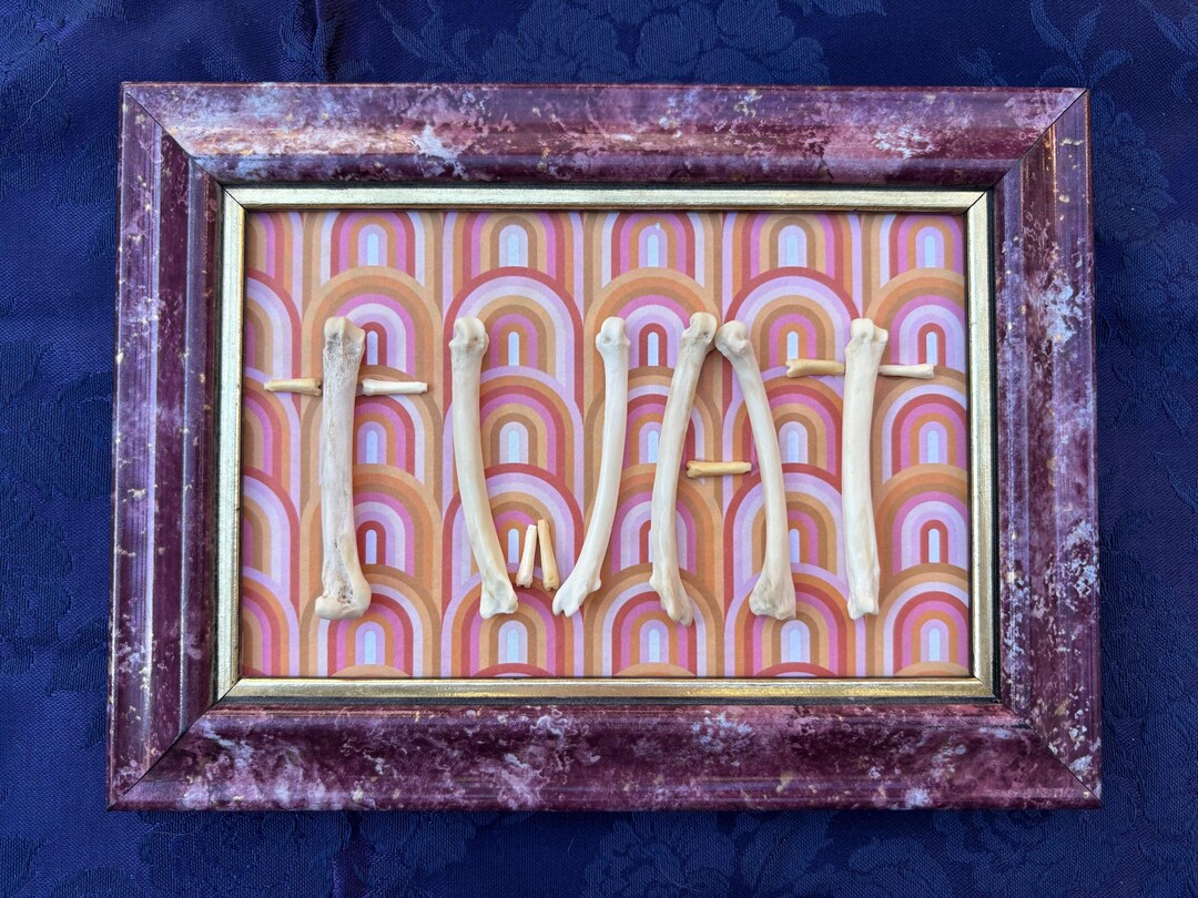 REAL Bone Sign, Skeleton Frame, Home Decor, Creepy Home Decor, Spooky ...