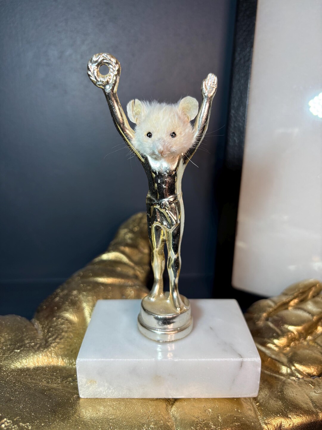 Custom Trophy, Taxidermy Mouse Portrait, Unique Gift, Mouse Taxidermy ...