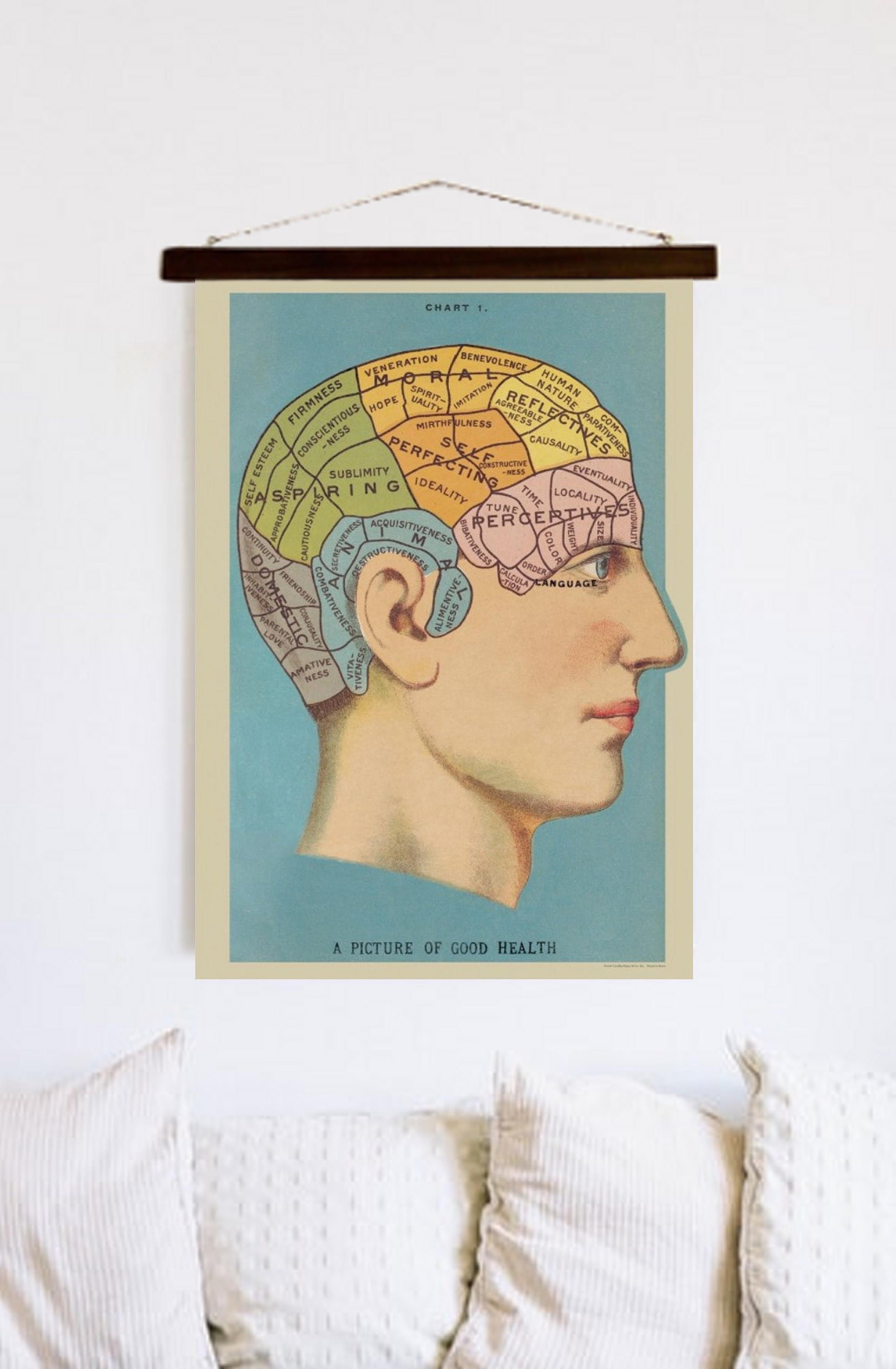 Vintage Phrenology Poster Vintage Anatomy Print Curiosity | Etsy