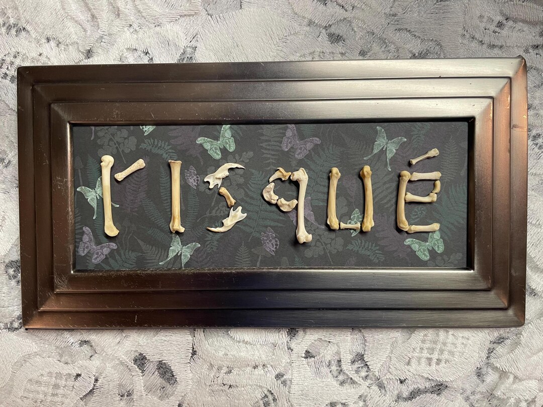 REAL Bone Sign, Risqué Sign, Skeleton Frame, Home Decor, Creepy Home ...