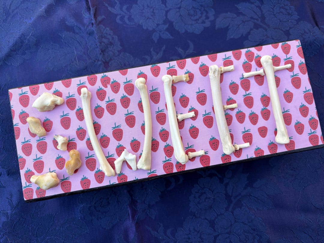 REAL Bone Sign, Skeleton Frame, Home Decor, Creepy Home Decor, Spooky ...