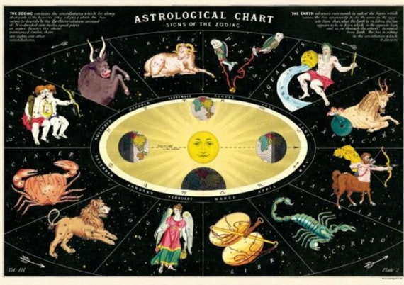 Zodiac anatomy 60 photos - Astrologytoyou.com