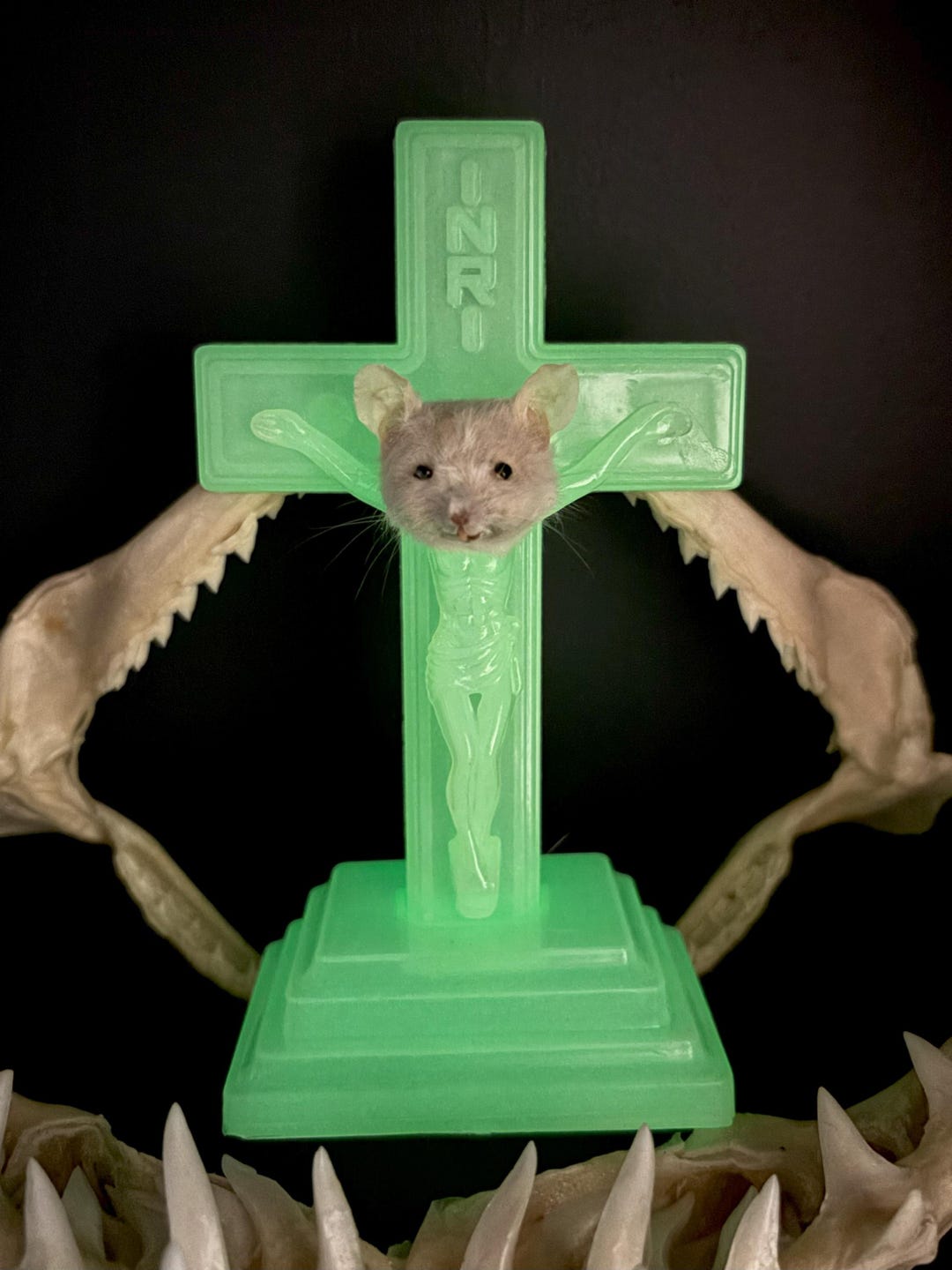 Glow in the Dark Cheesus Mice-t, Taxidermy Mouse Portrait, Crucifix ...