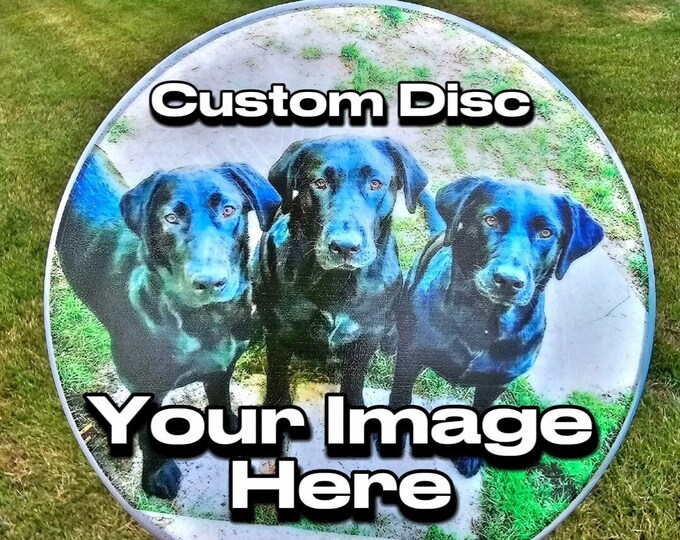 Custom Disc Golf Disc, Unique Design Art, Functional Frisbee, Your ...