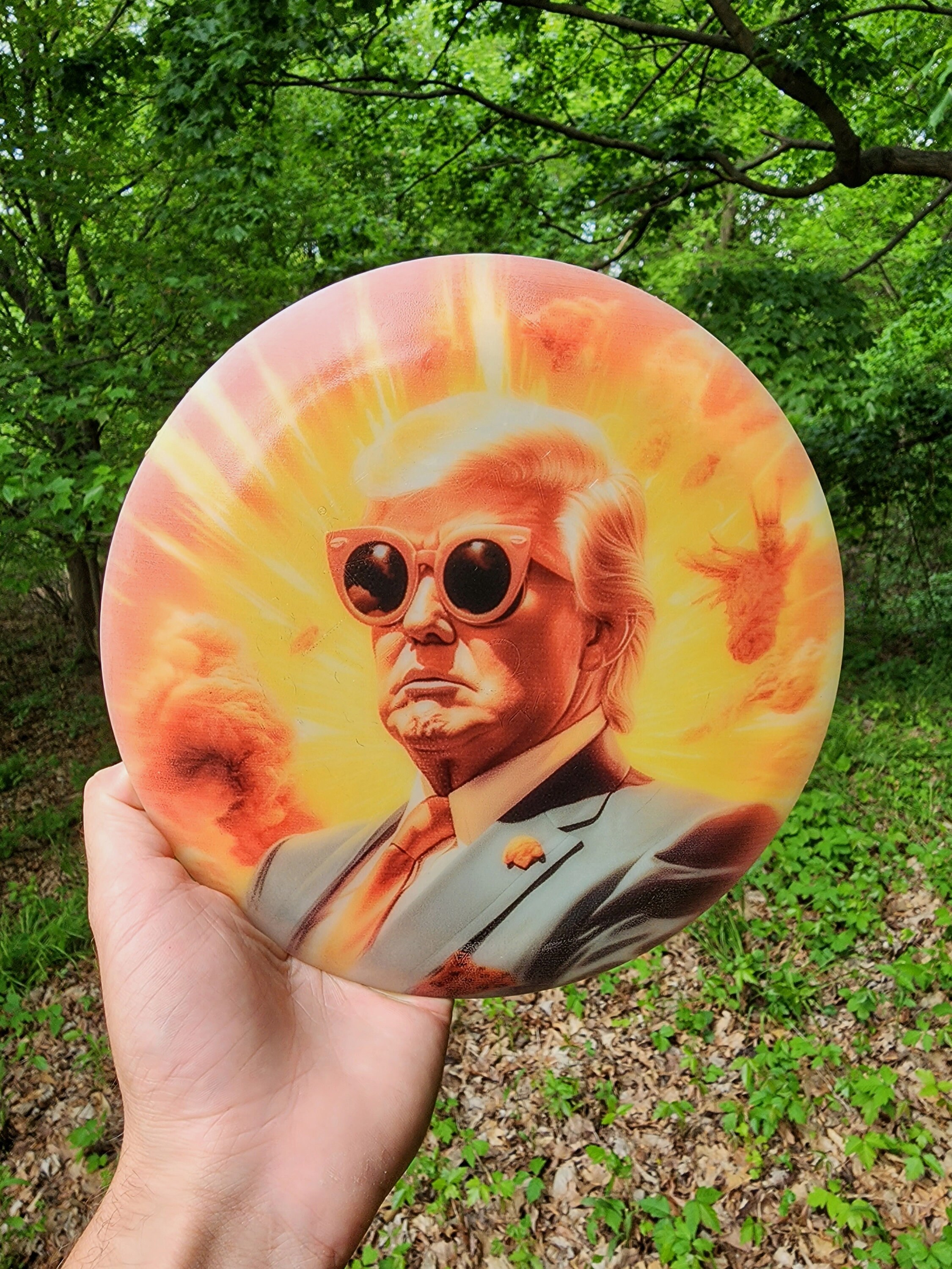 Custom Disc Golf Disc, Unique Design Art, Functional Frisbee, Your ...