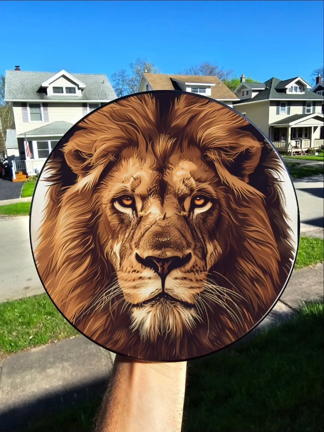 Lion - Disc Golf Disc, Frisbee Golf, Frisbee, Animals, Custom Discs ...