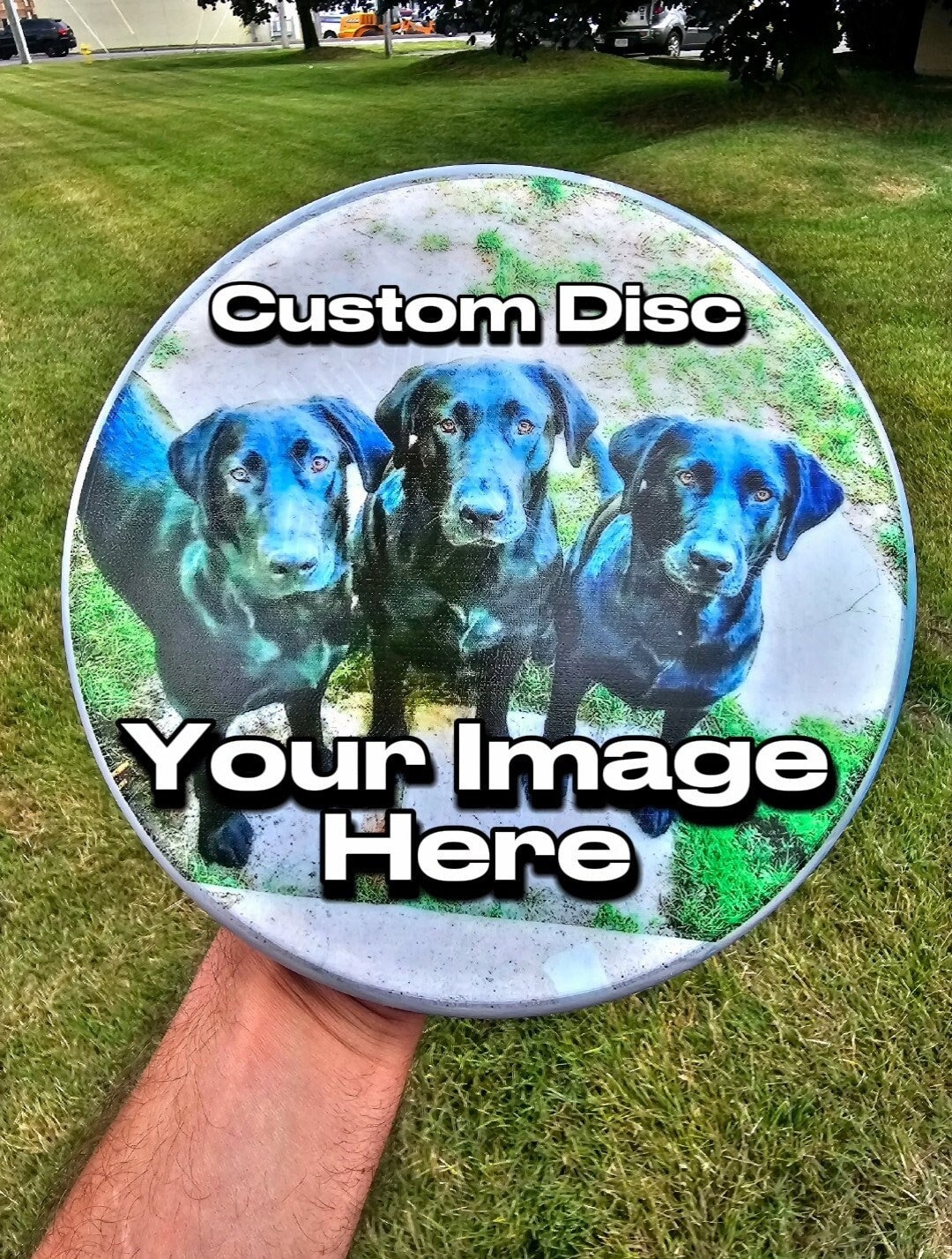 Custom Disc Golf Disc, Unique Design Art, Functional Frisbee, Your ...