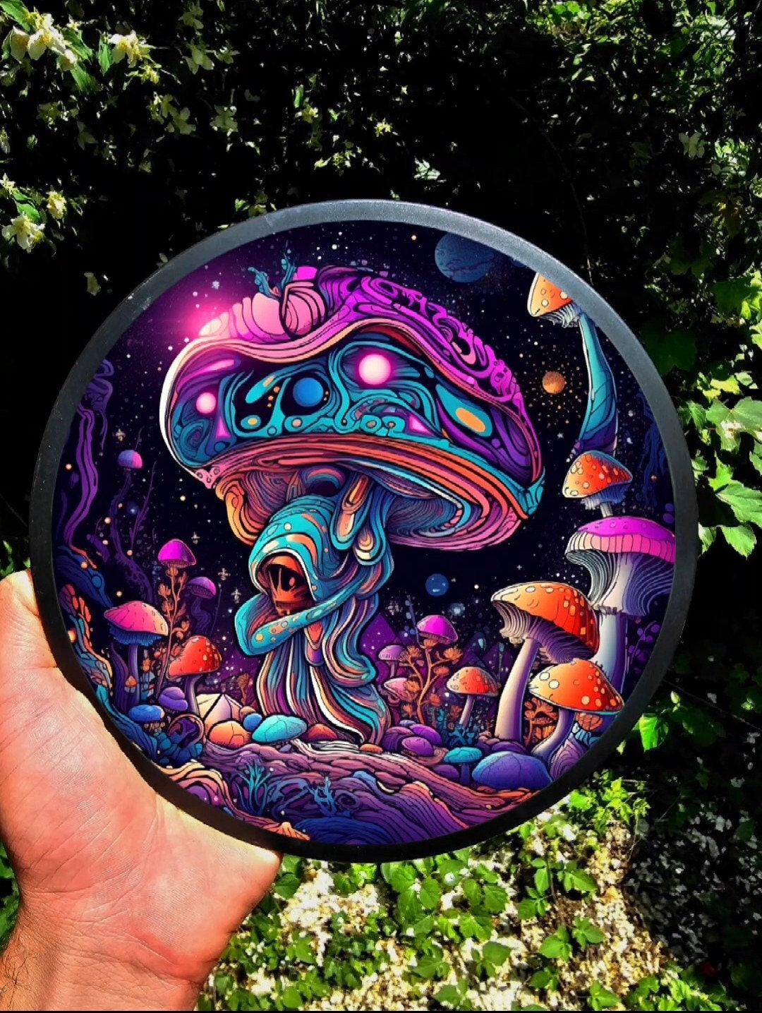 Mushroom Art - Disc Golf Disc, Frisbee Golf, Frisbee, Custom Discs ...