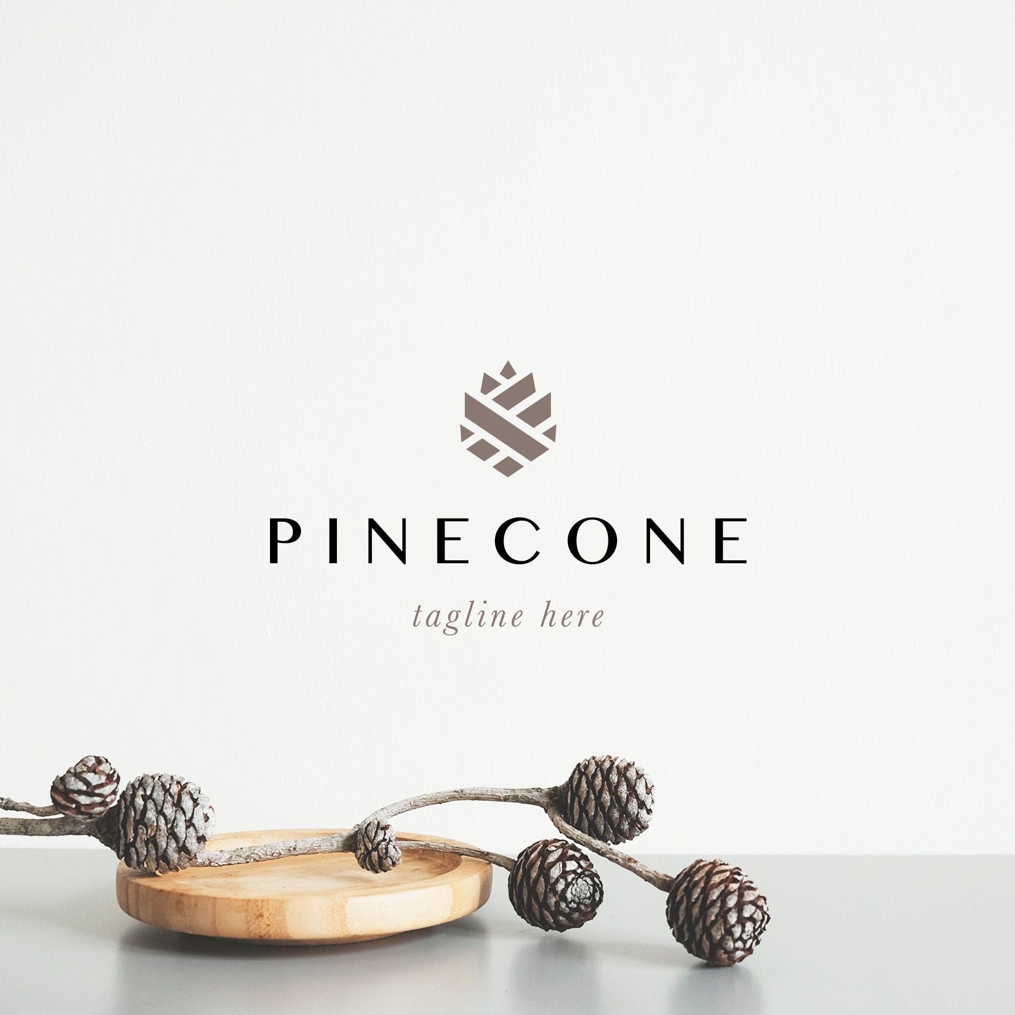 Pine Cone Logo