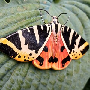 Ceramic Jersey Tiger Moth Will Decor - Etsy