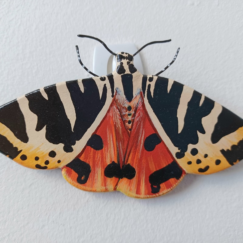Tiger Moth - Etsy