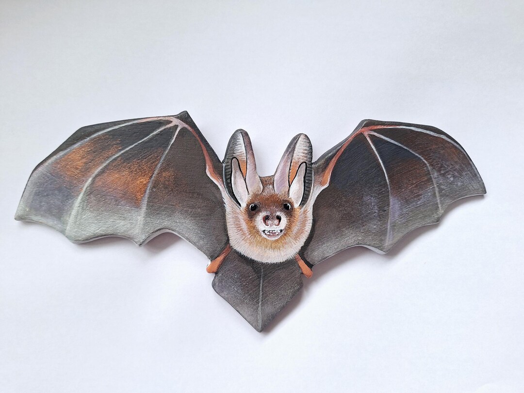 Ceramic Long Eared Bat Wall Decor - Etsy