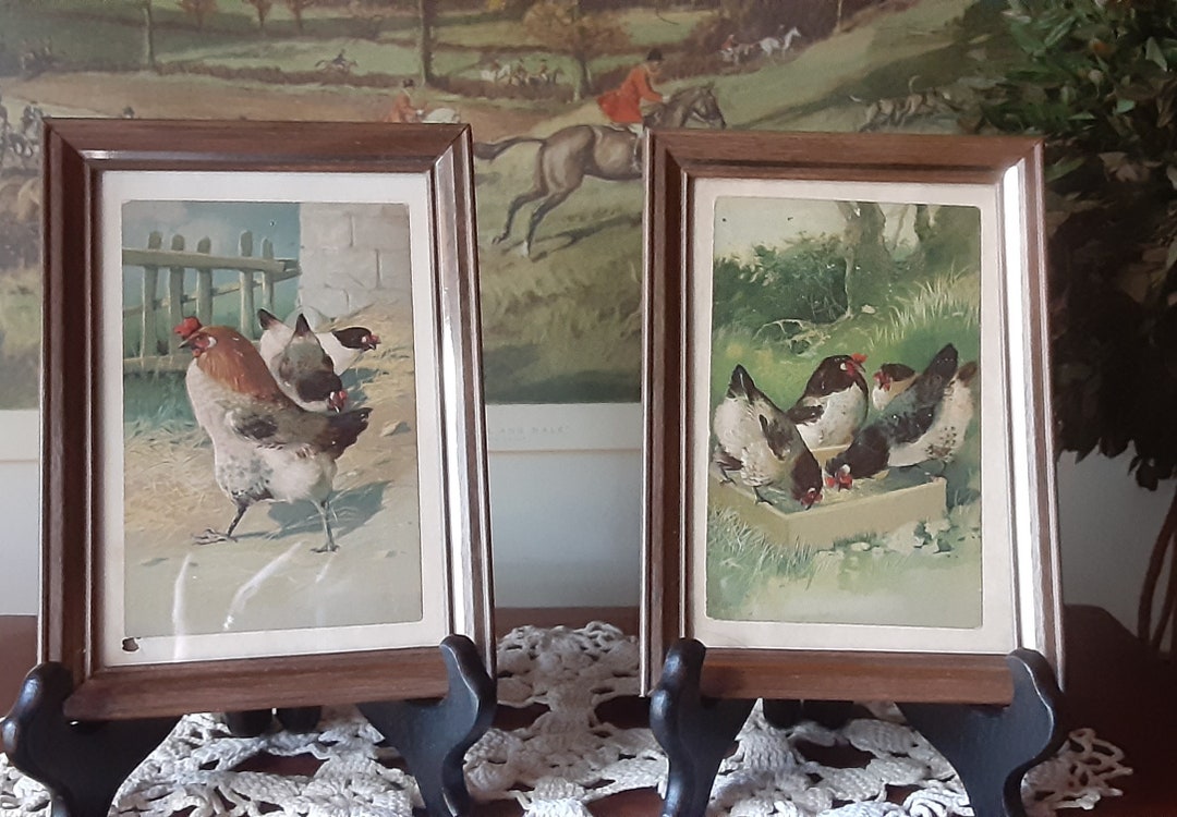 Antique Postcards Framed 5 X 7 Pair Chicken Pictures Ephemera Antique ...