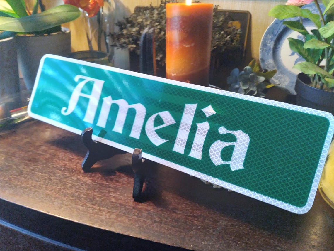 Custom Kids’ Name Signs – Inspired by Real Green Reflective Street ...